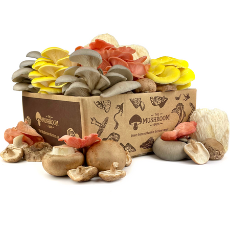 The Classic Mushroom Mix – The Mushroom Barn