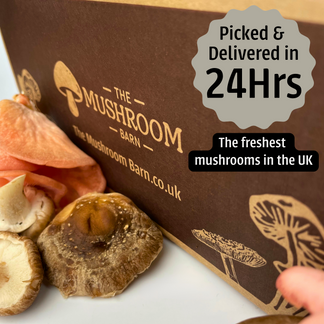 The Classic Mushroom Mix – The Mushroom Barn
